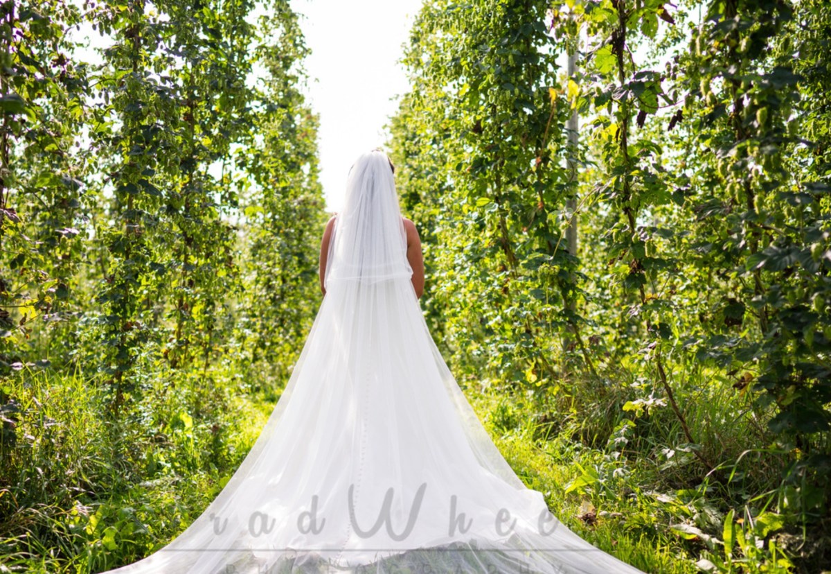 Hops Wedding Decorations – Twisted Bine Hops Yard, LLC